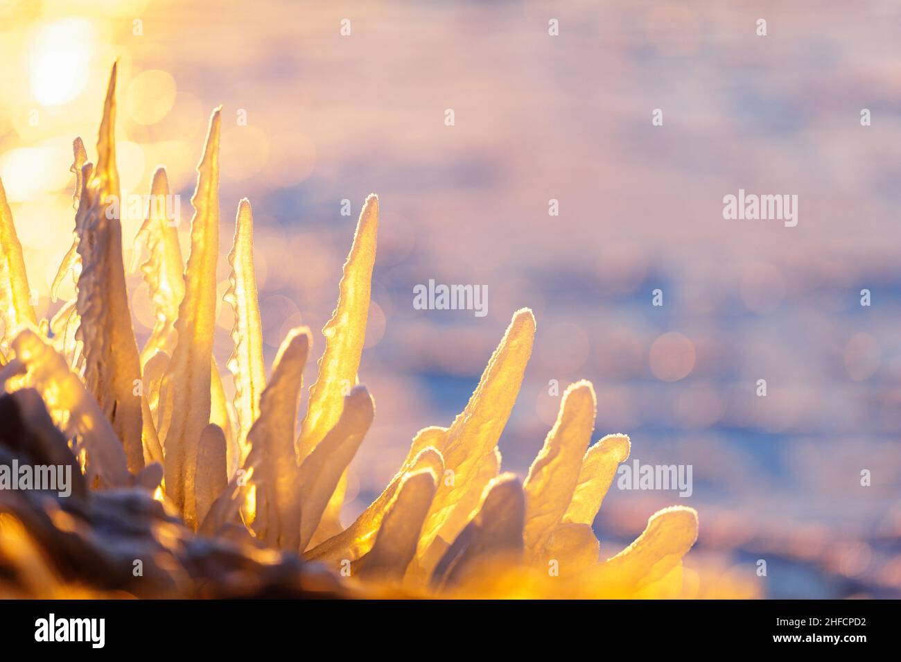 Sunlight and icicles hi-res stock photography and images - Alamy