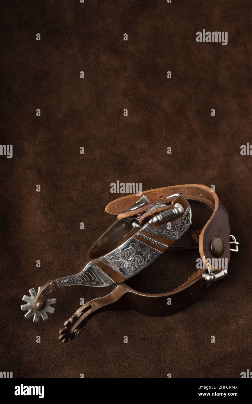 Reining and cutting horse hi-res stock photography and images - Alamy