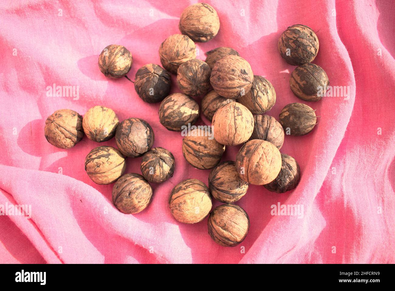 Rotten walnuts hi-res stock photography and images - Alamy