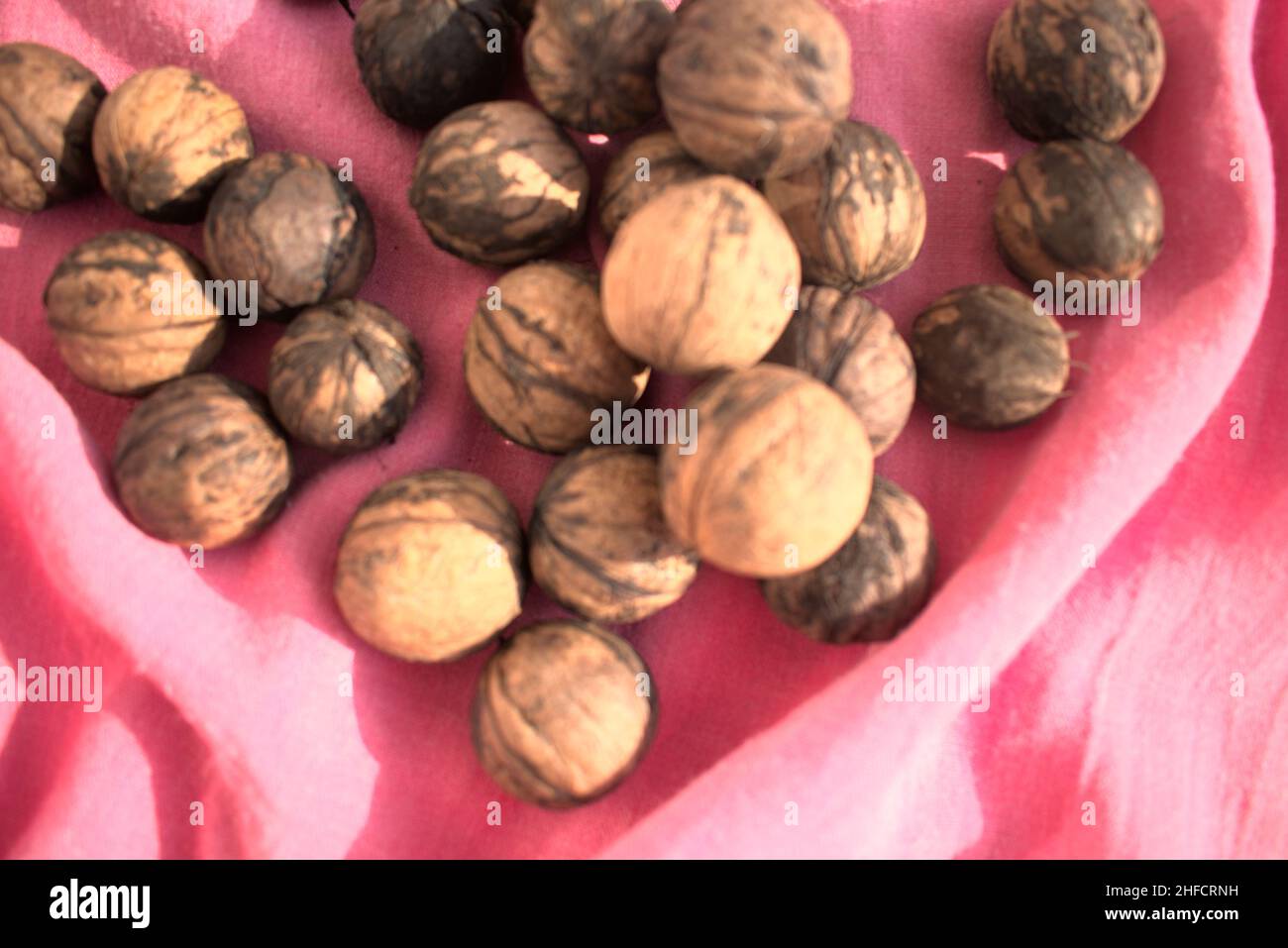 Rotten walnuts hi-res stock photography and images - Alamy