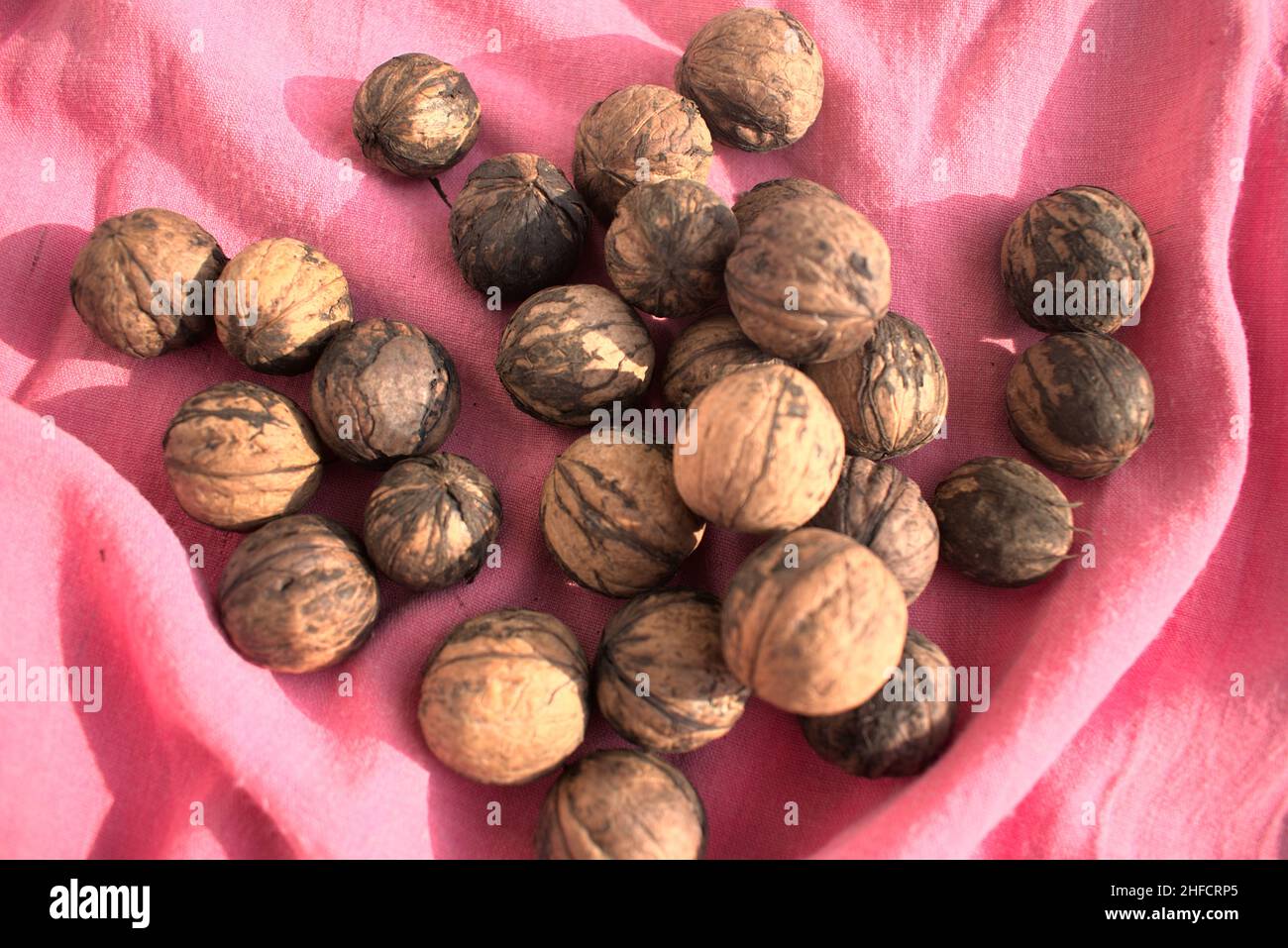 Walnuts on a pink background Stock Photo - Alamy