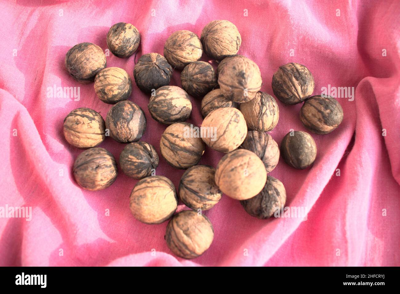 Rotten walnuts hi-res stock photography and images - Alamy