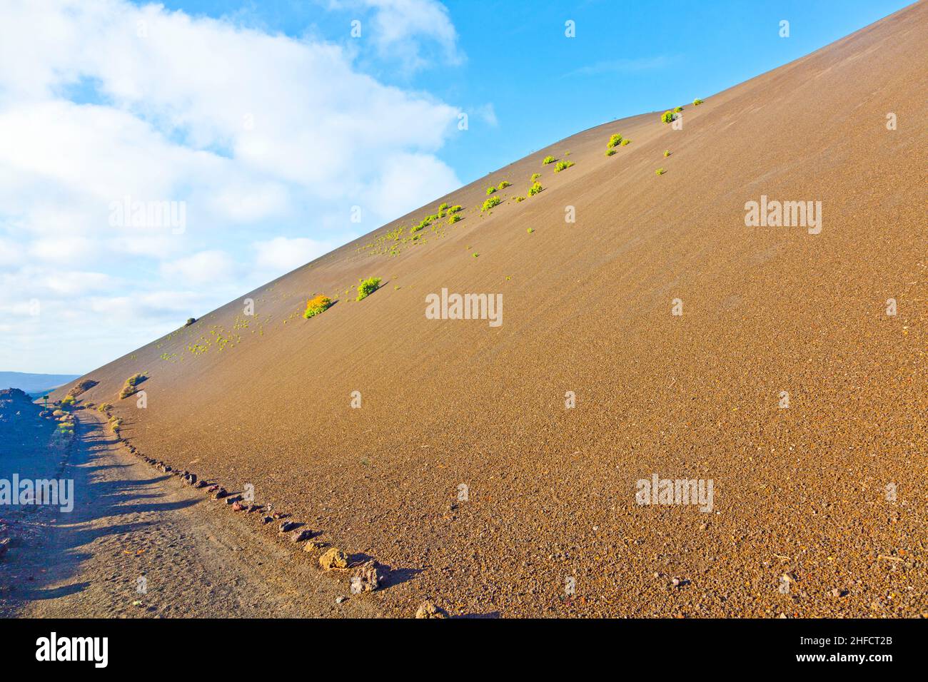 sparse vegetation on volcanic hills in Timanfaya National Park with ...