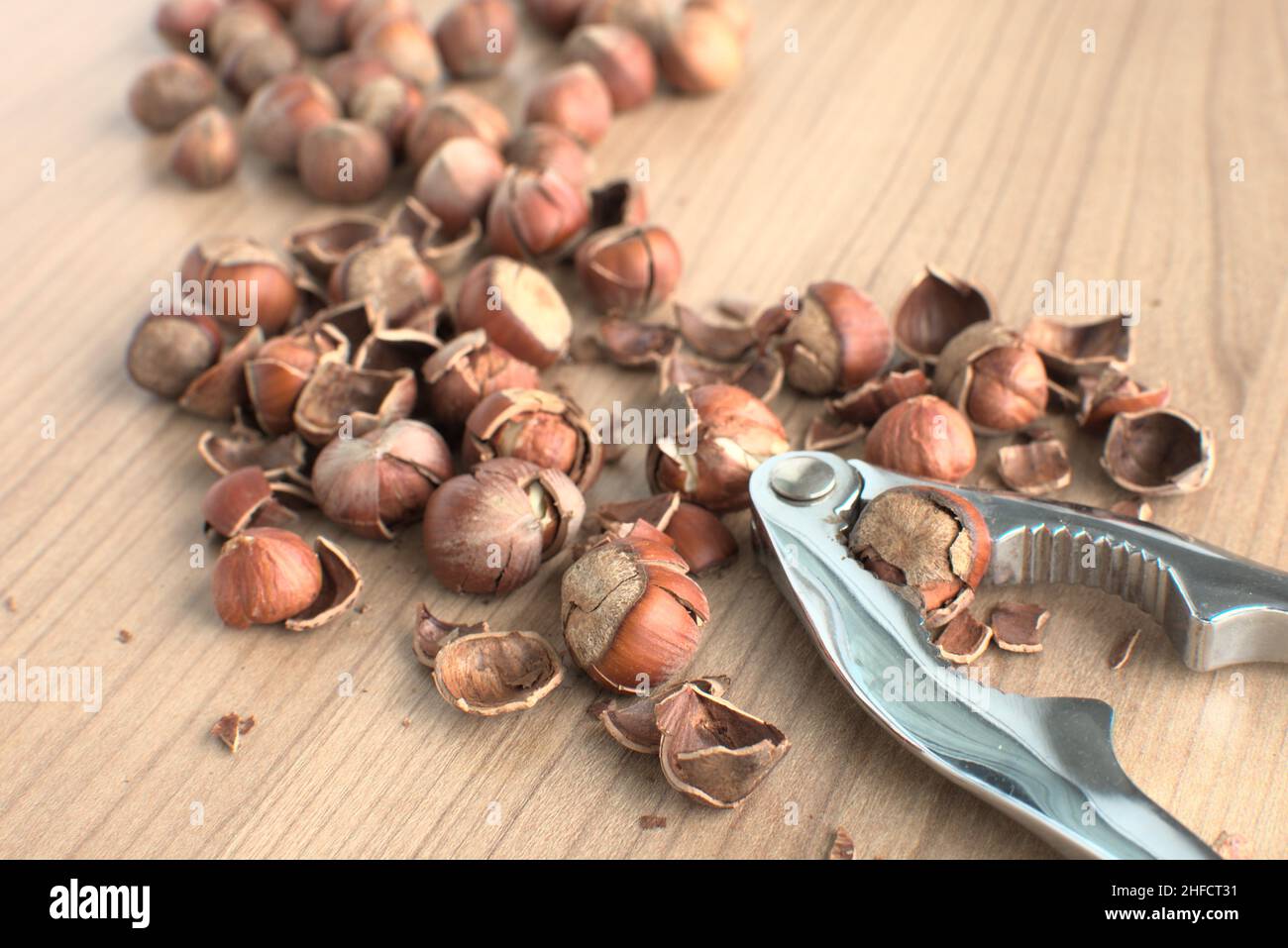 Broken hazelnuts with nutcracker on a table. Ready to eat nuts Stock ...