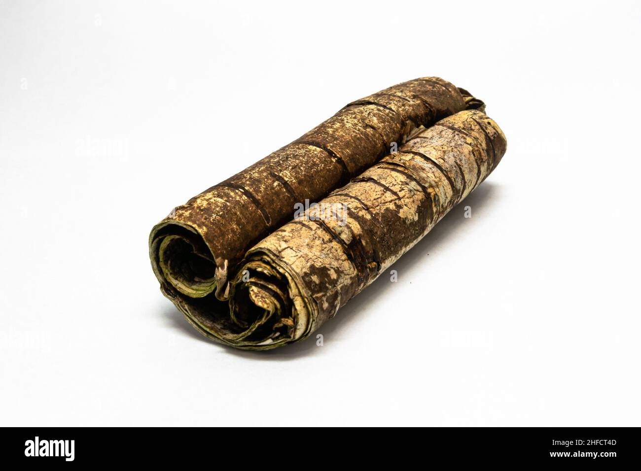 Exfoliated bark of a birch tree, resembling a scroll, isolated against ...