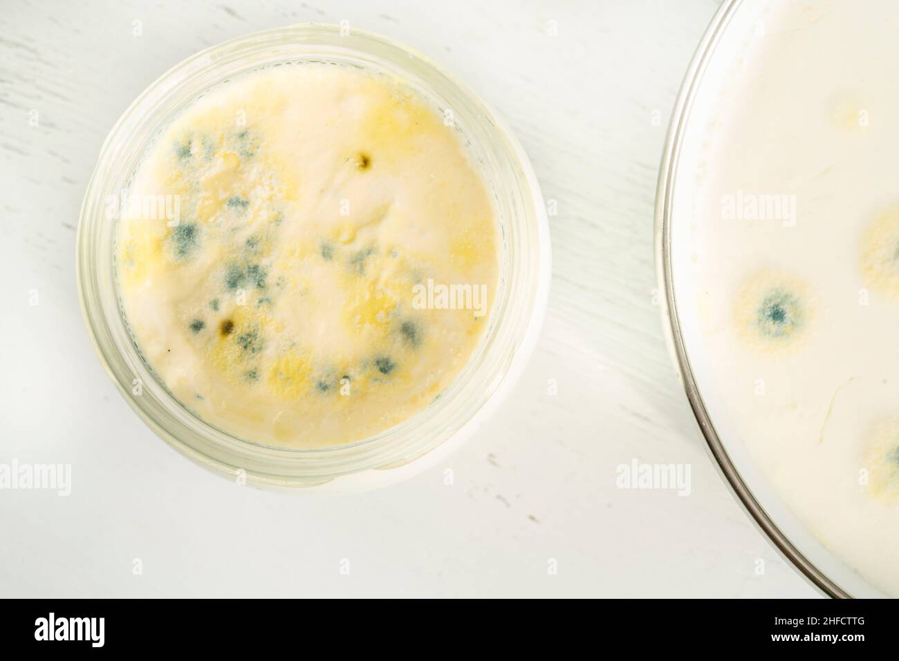 Bacteria yoghurt mold hi-res stock photography and images - Alamy