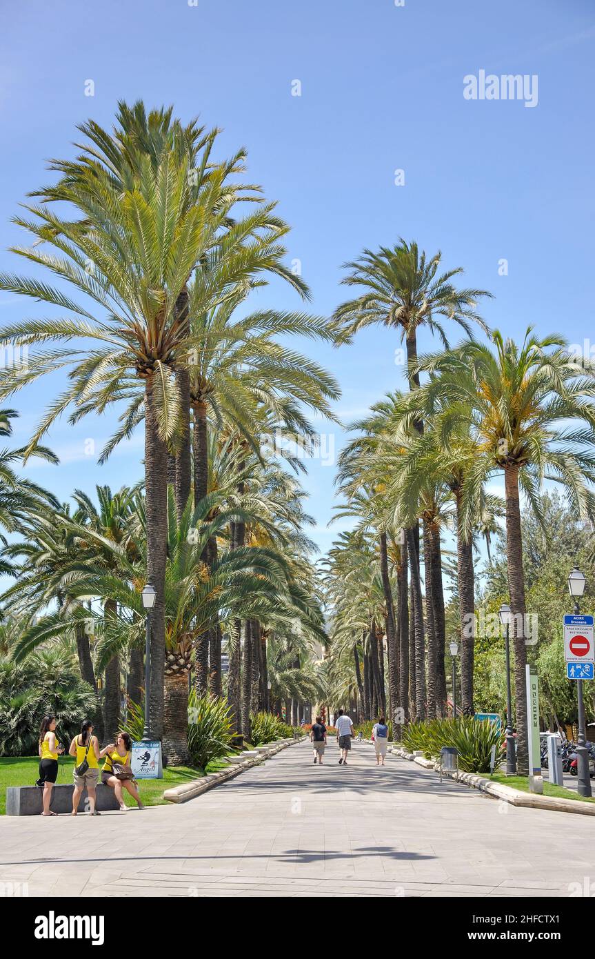 Promenade walkway, Palma de Mallorca, Palma Municipality, Mallorca ...