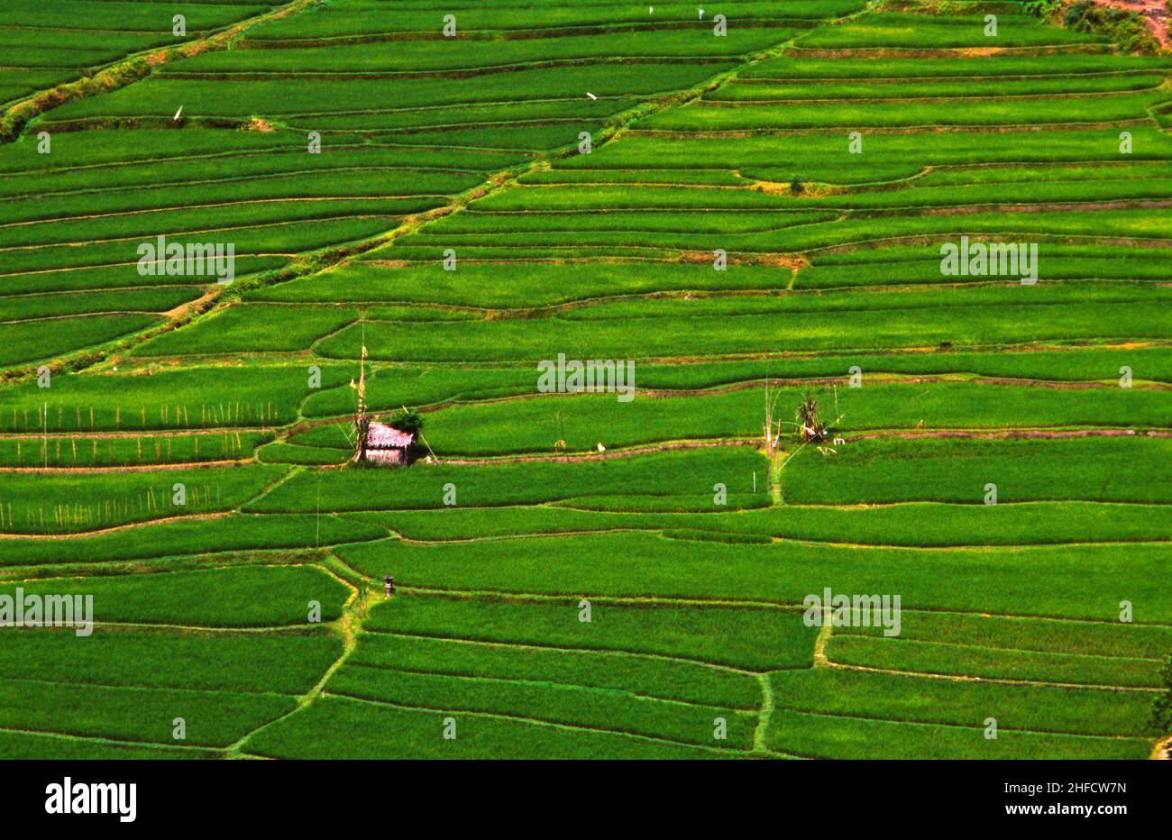 Structured fields hi-res stock photography and images - Alamy