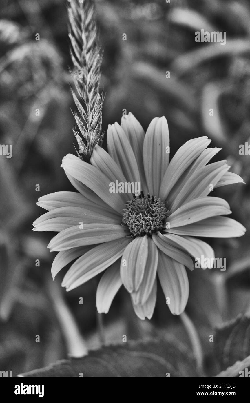 Abstracts, landscapes and simple variety in black and white images ...