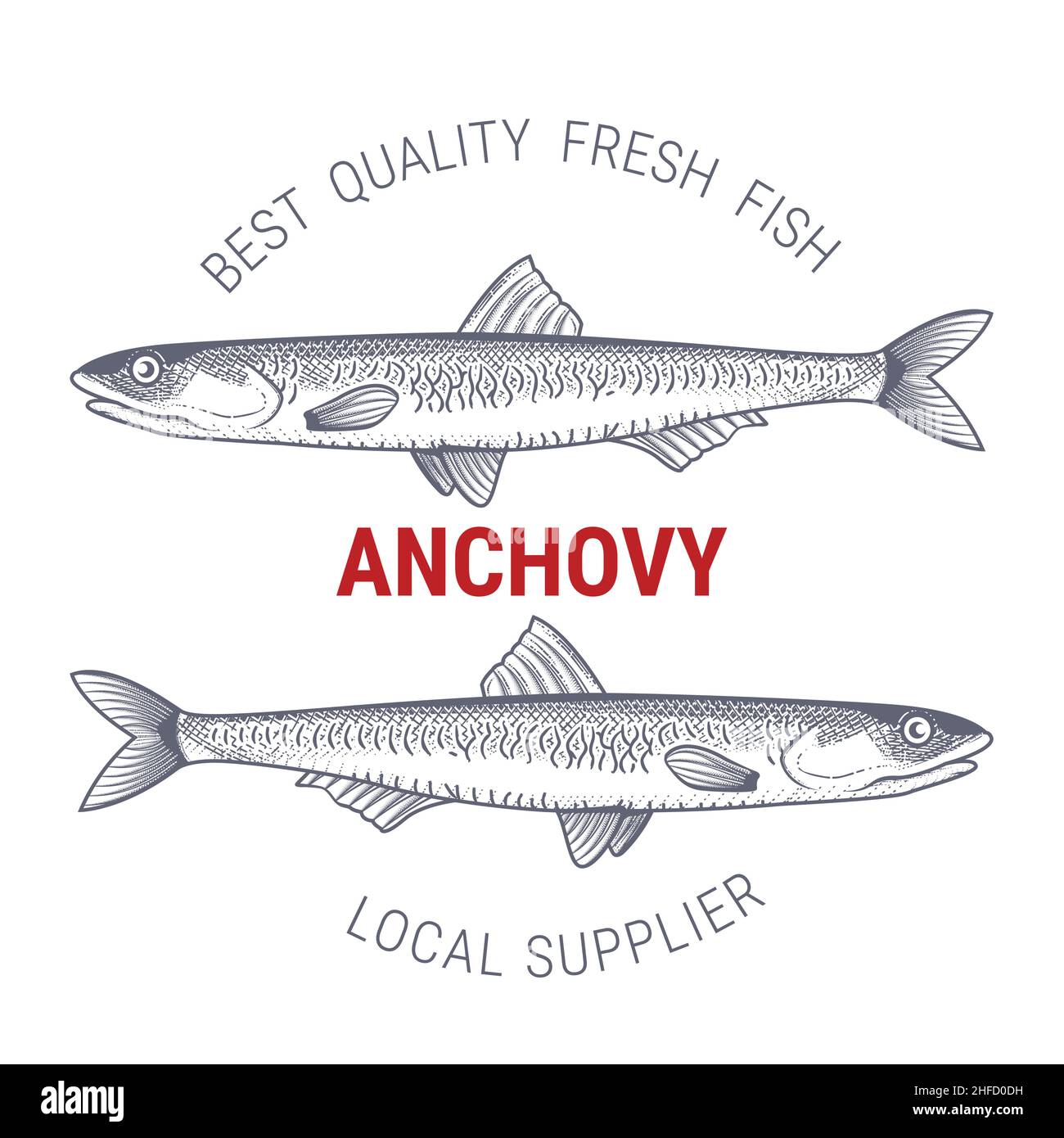 Anchovy in engraving style, label for fish producers or restaurant ...
