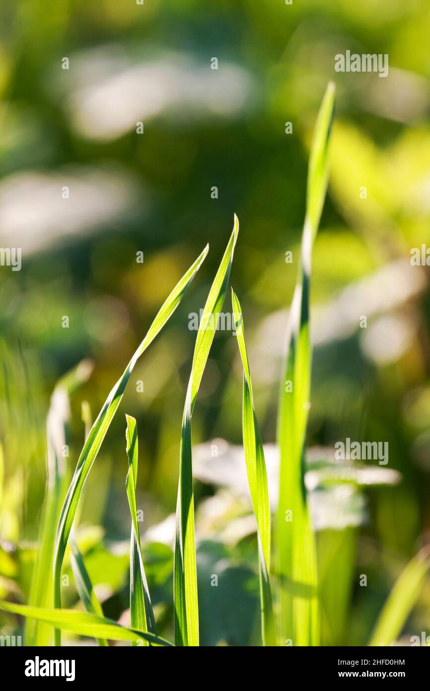 Structured perspective hi-res stock photography and images - Alamy