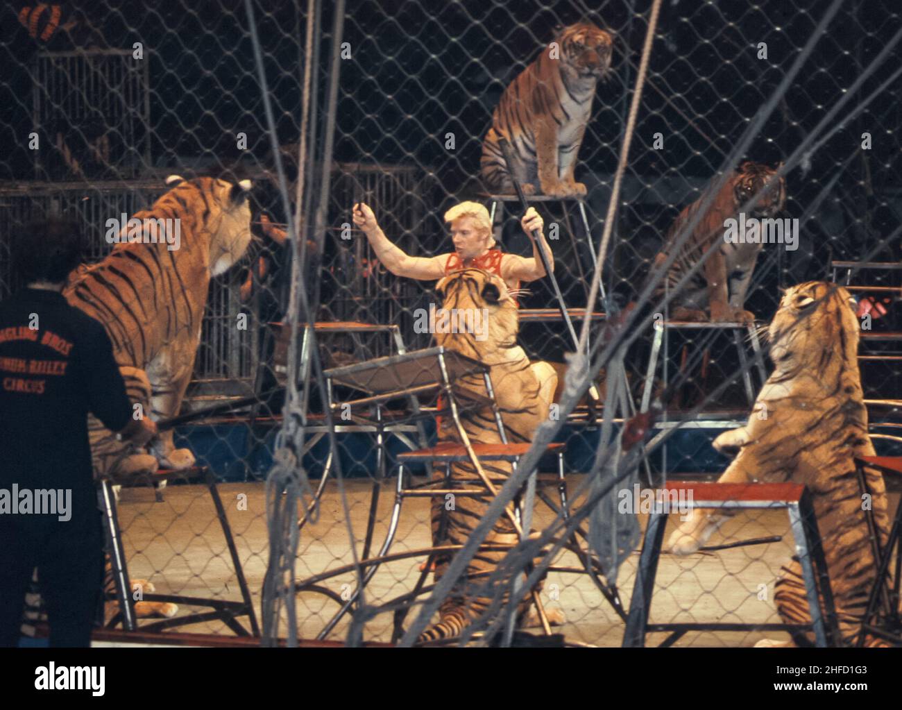 Circus highest paid performerr hi-res stock photography and images - Alamy