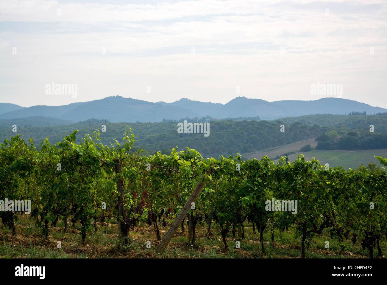 Tuscany is a region in central Italy and is known for its landscapes ...