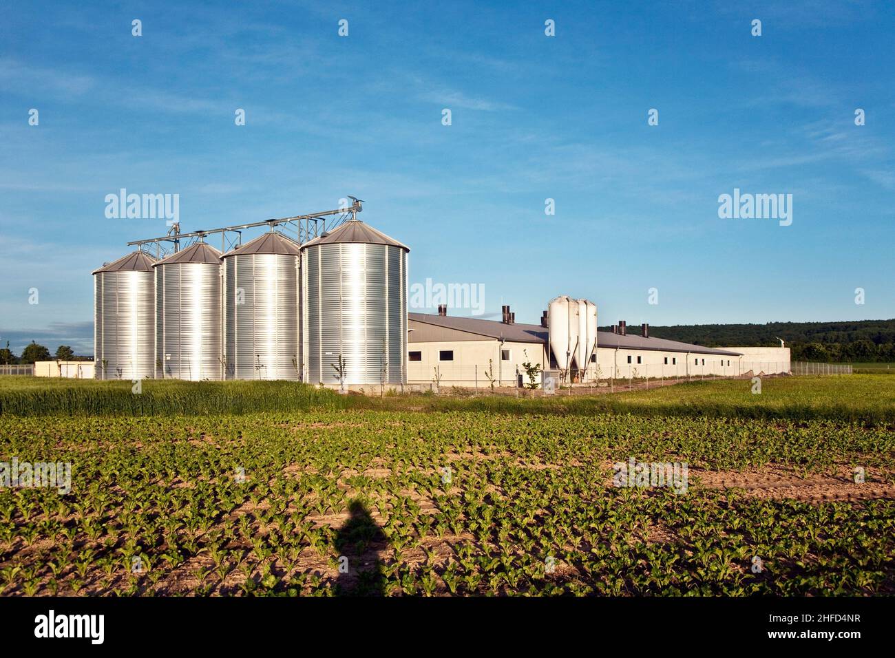 silos in beautiful landscape and acres Stock Photo - Alamy