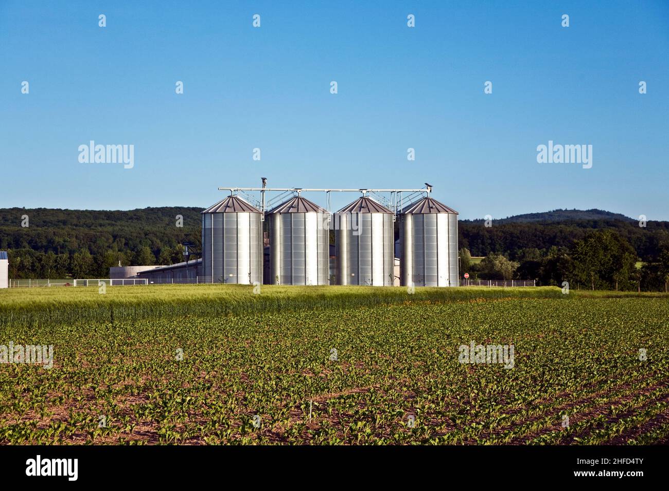 silos in beautiful landscape and acres Stock Photo - Alamy
