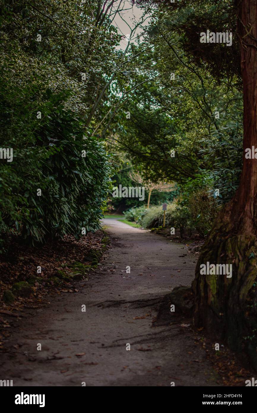 Denzell gardens devisdale hi-res stock photography and images - Alamy