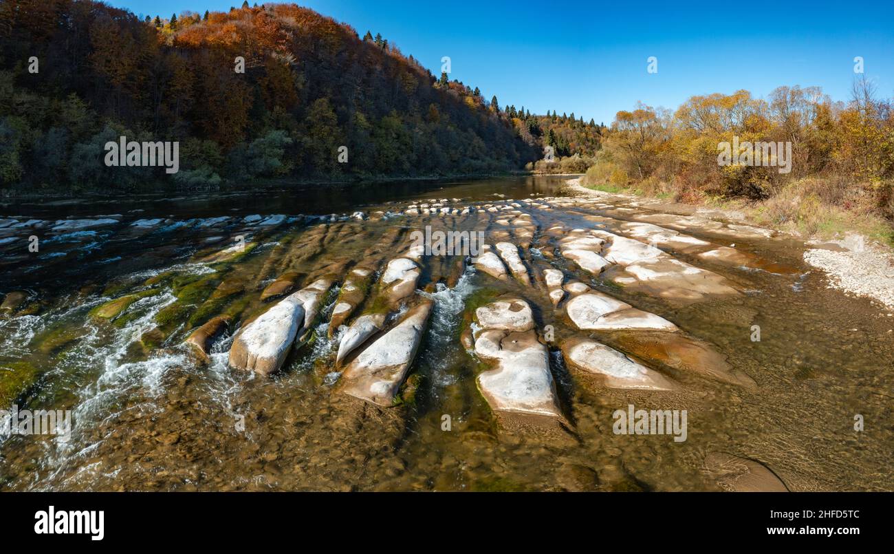 Shallow mountain river with rocky bottom and coniferous terracotta ...