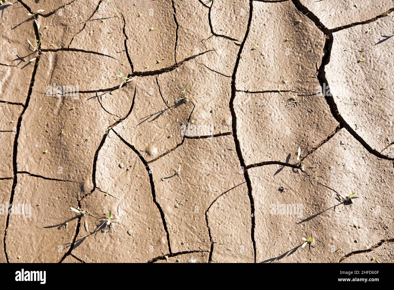 Cracked earth background of dried loam Stock Photo - Alamy