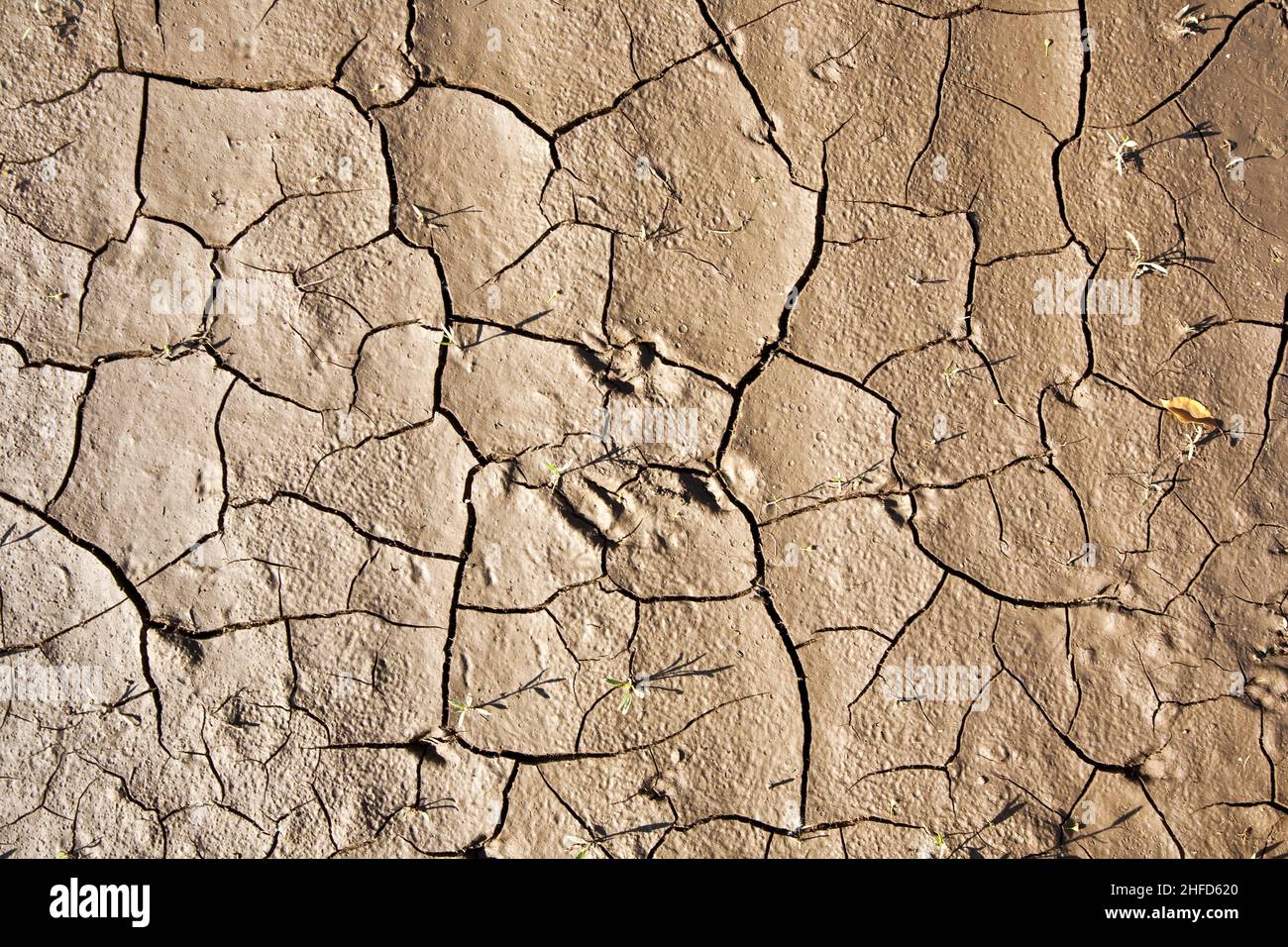 Cracked earth background of dried loam Stock Photo - Alamy