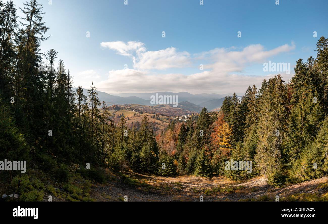 Autumn multi-colored forest with green coniferous trees and narrow path ...
