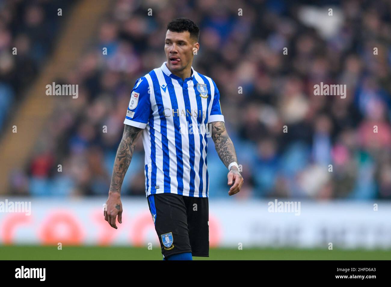 Marvin Johnson #18 of Sheffield Wednesday in action during the game ...