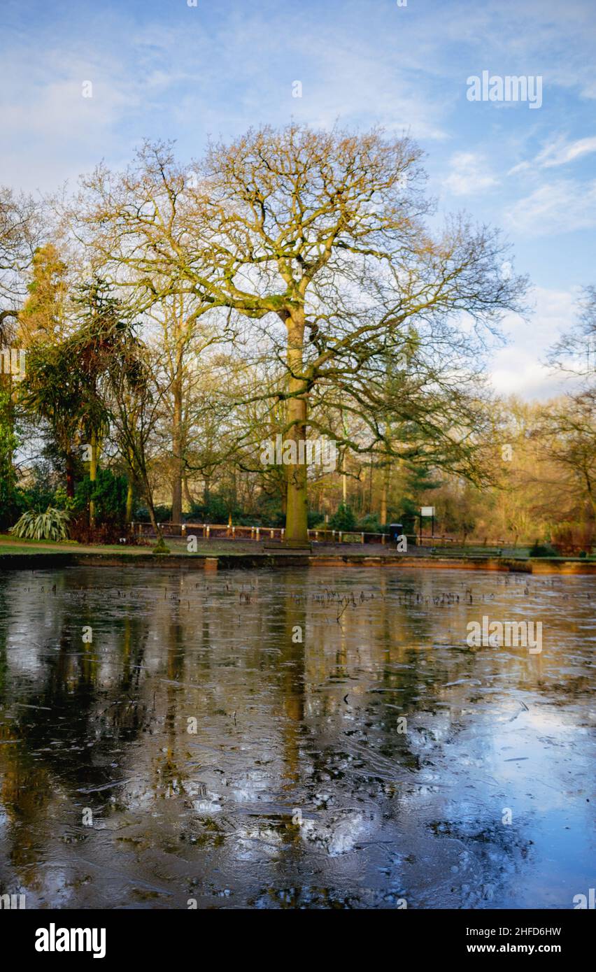 Denzel pond hi-res stock photography and images - Alamy