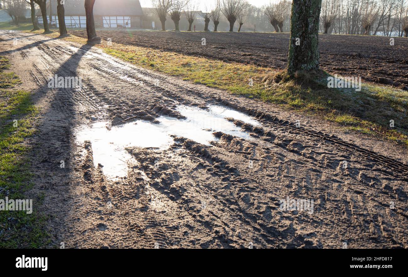 Rural road in winter, mud, puddles, fields and trees (mostly willows ...