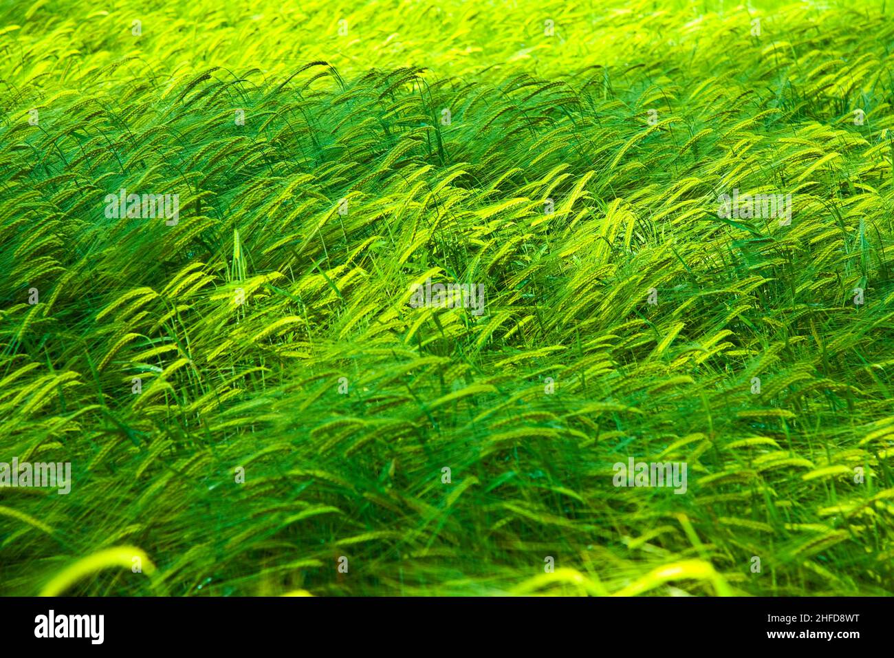Spika hi-res stock photography and images - Alamy