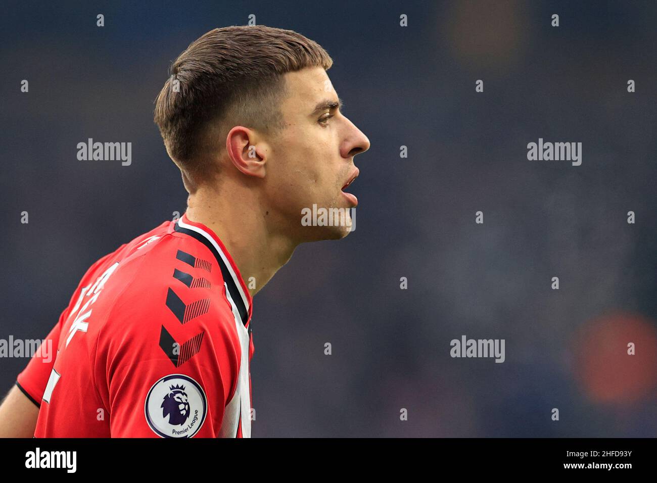 Bednarek hi-res stock photography and images - Alamy