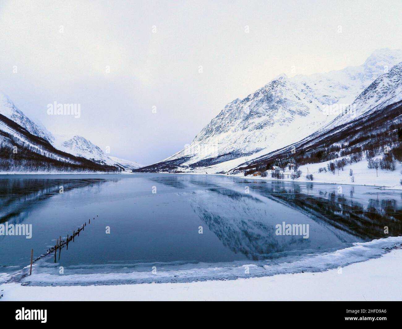 Winter in Kjosen on the island Kvaloya at the Kaldfjord, Norway Stock ...