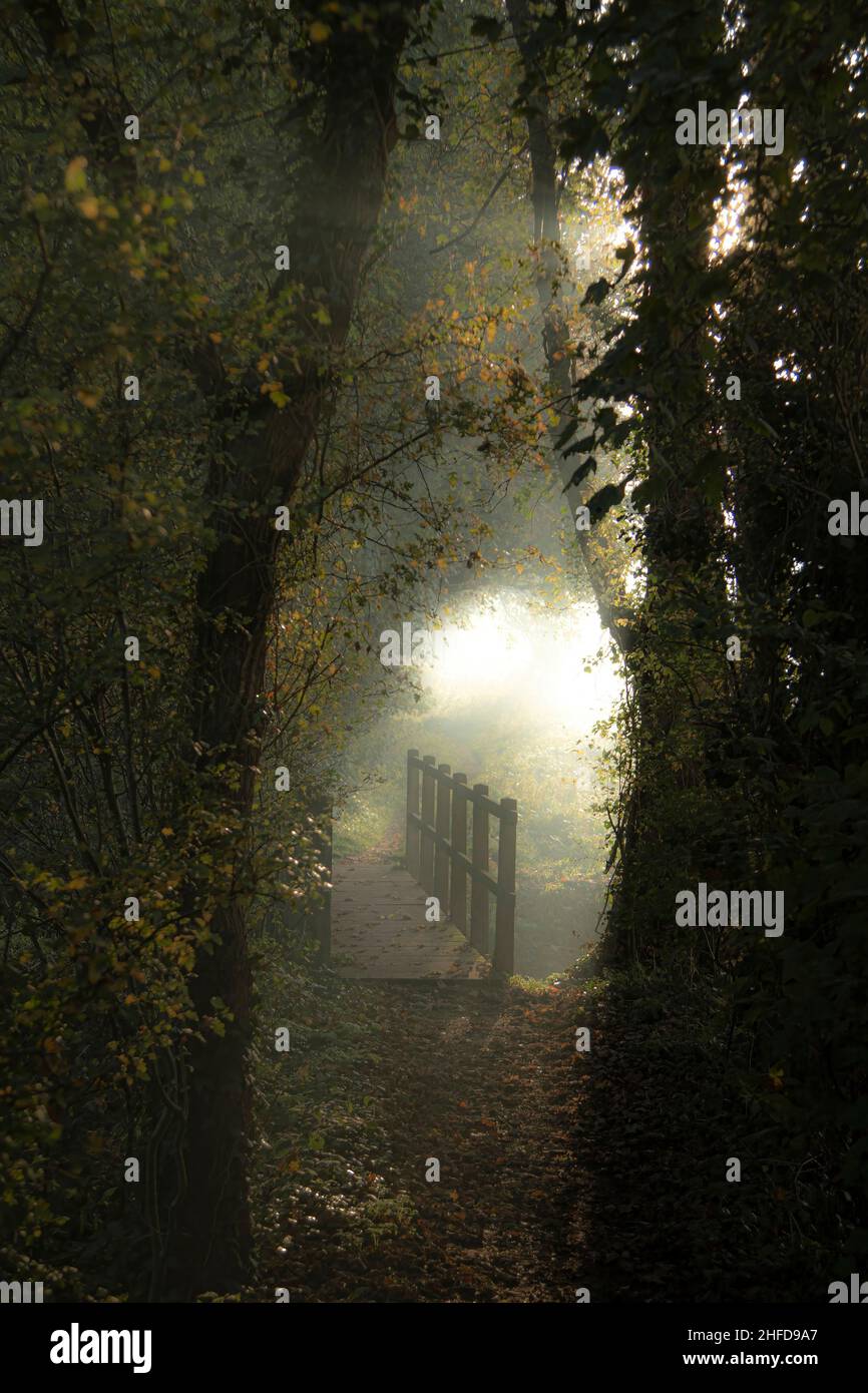 On an early autumn morning walk in Aldborough, North Norfolk, a ...