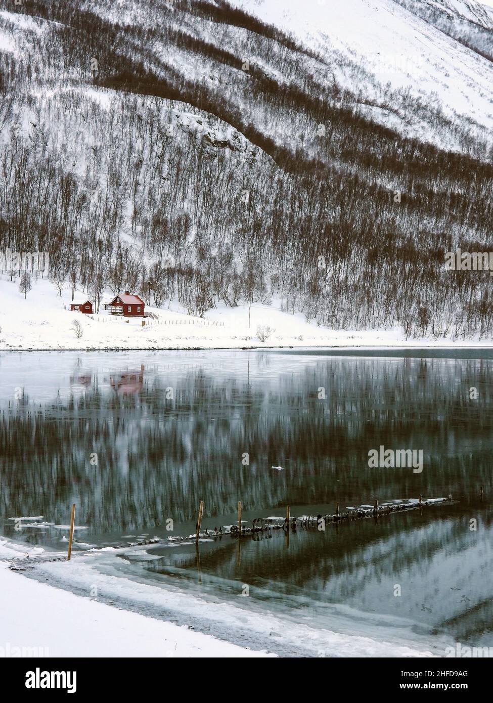 Winter in Kjosen on the island Kvaloya at the Kaldfjord, Norway Stock ...