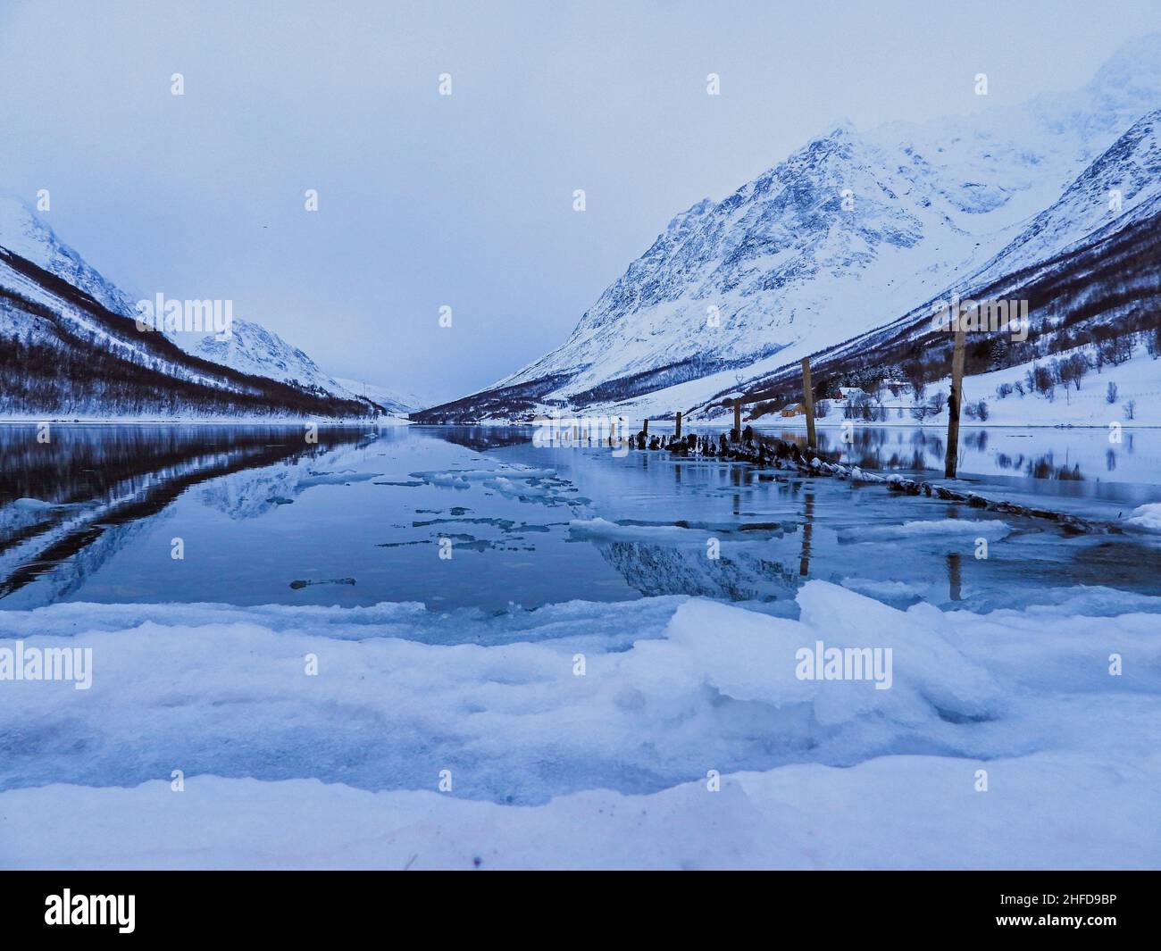 Winter in Kjosen on the island Kvaloya at the Kaldfjord, Norway Stock ...