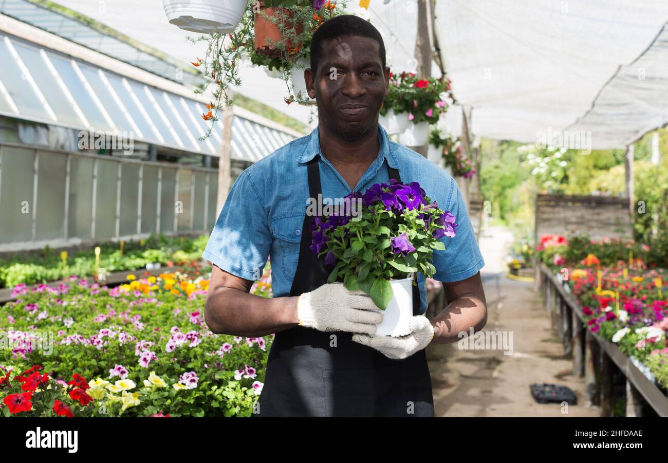 Floriculturist man hi-res stock photography and images - Alamy