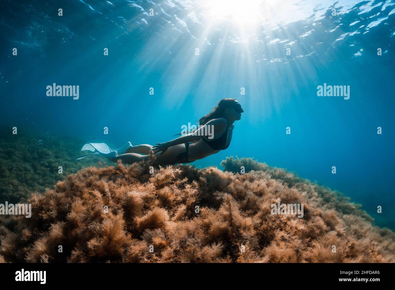 Freediver woman glides with freediving fins and seaweed. Freediver and ...