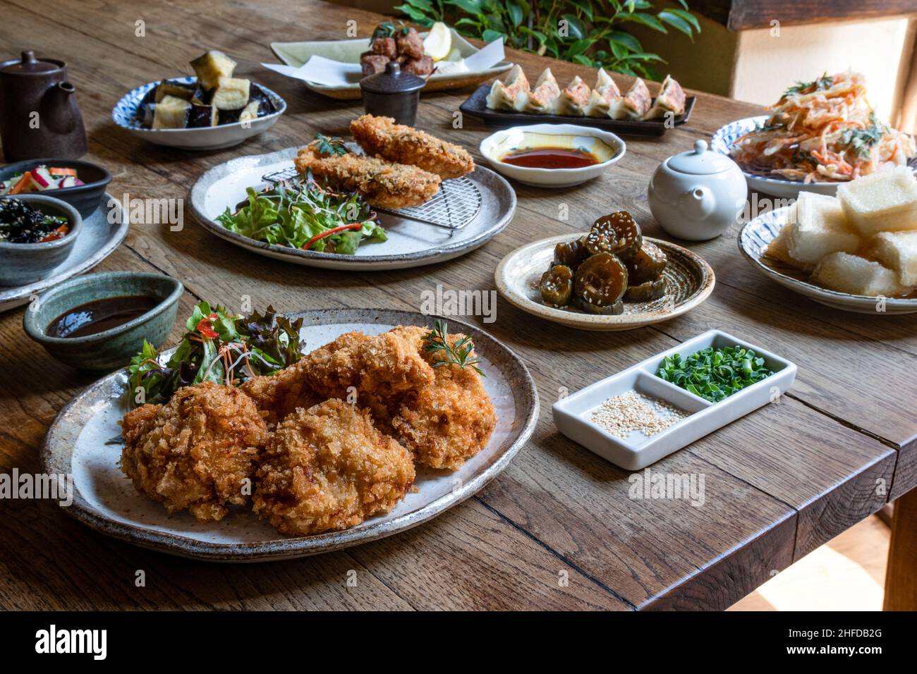 A variety of Japanese dishes such tonkatsu, gyoza, agedashi tofu ...