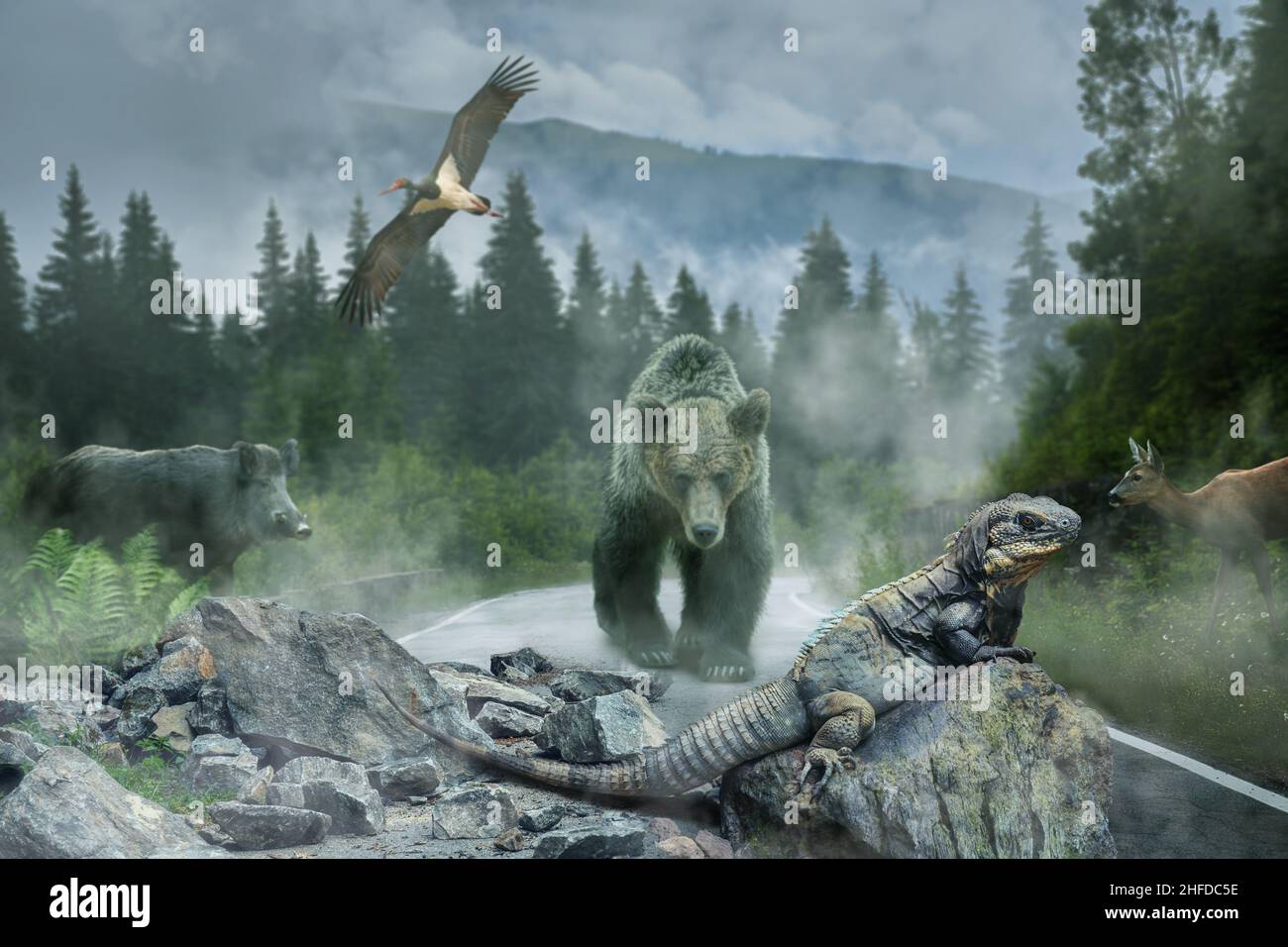 Conceptual image of a world after humans are gone, when animals take ...