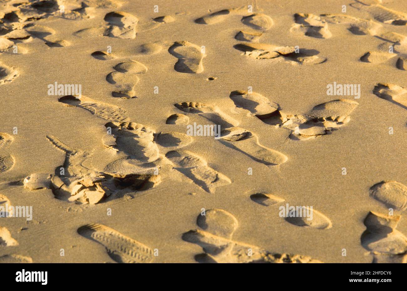 footsteps in the sand Stock Photo - Alamy