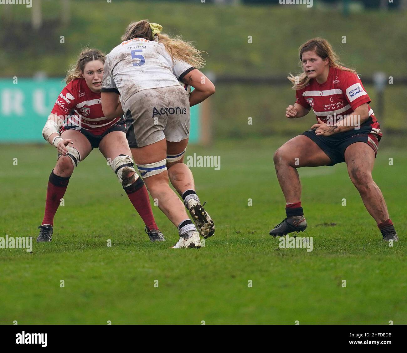Gloucester hartpury hi-res stock photography and images - Alamy