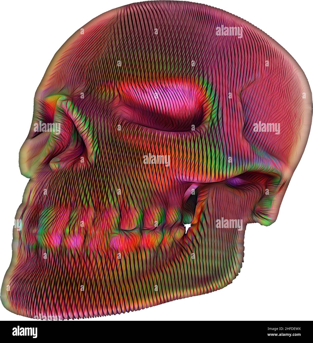 Human skull colored with transparent background,3d,illustration Stock ...