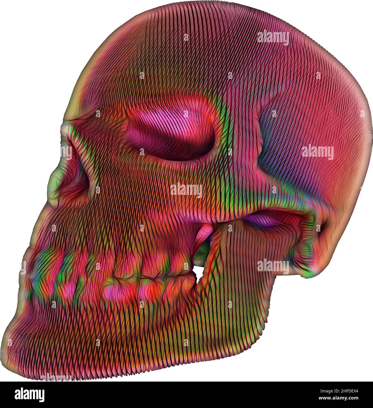Human skull colored with transparent background,3d,illustration Stock ...