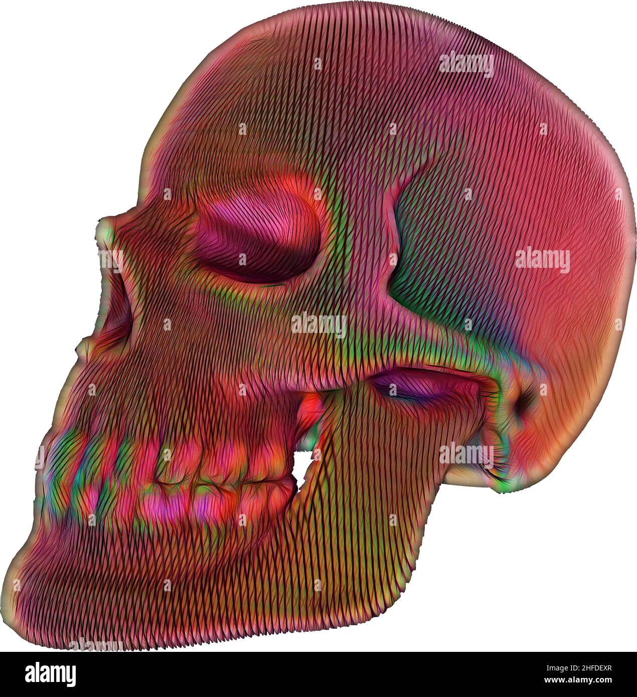 Human skull colored with transparent background,3d,illustration Stock ...