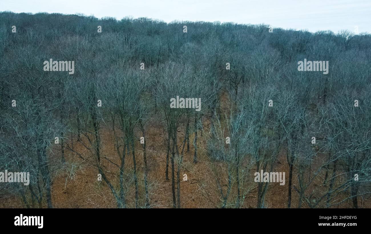 Treetops from above hi-res stock photography and images - Alamy