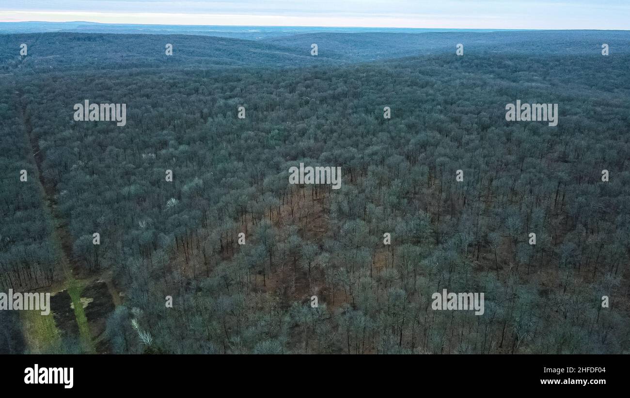 High treetops hi-res stock photography and images - Alamy