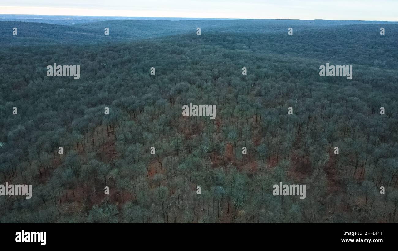 Treetops from above hi-res stock photography and images - Alamy