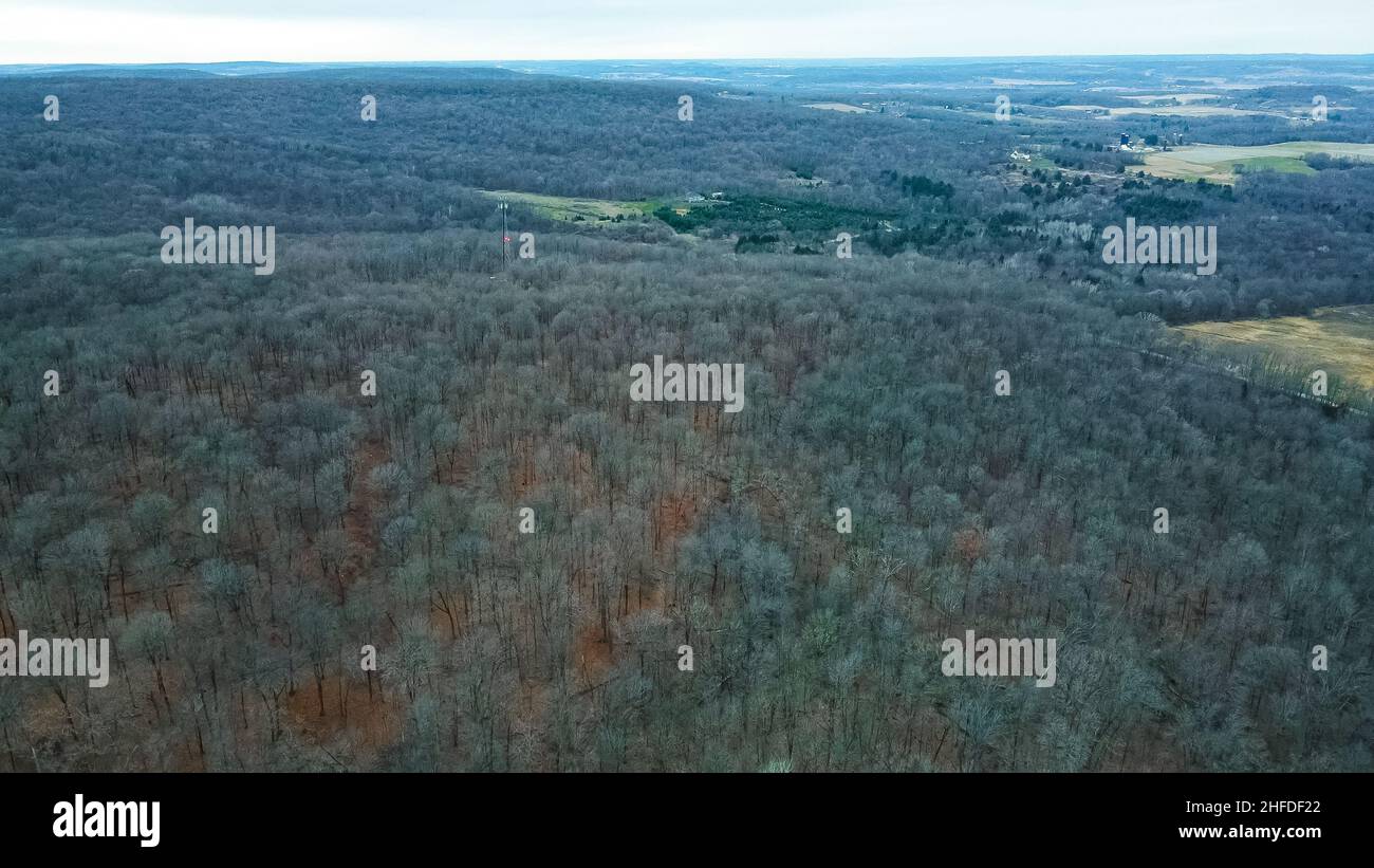 Treetops from above hi-res stock photography and images - Alamy