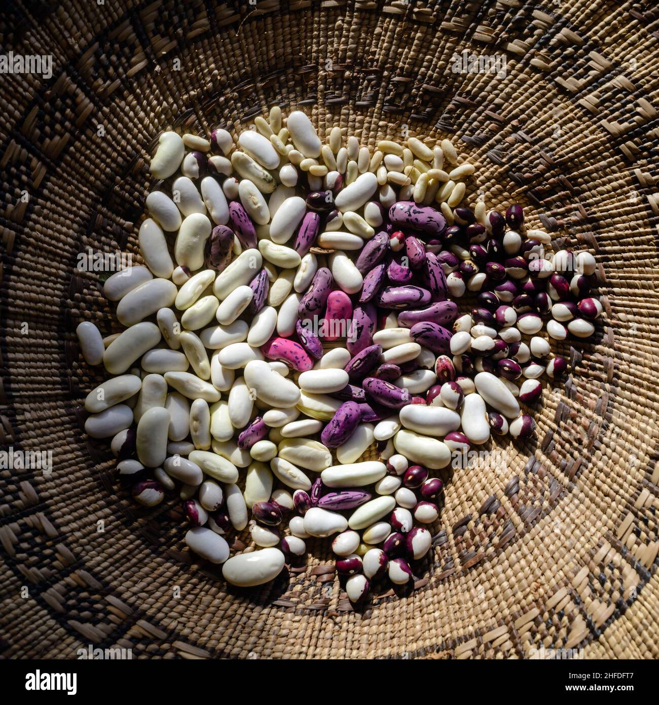 Yang pea hi-res stock photography and images - Alamy
