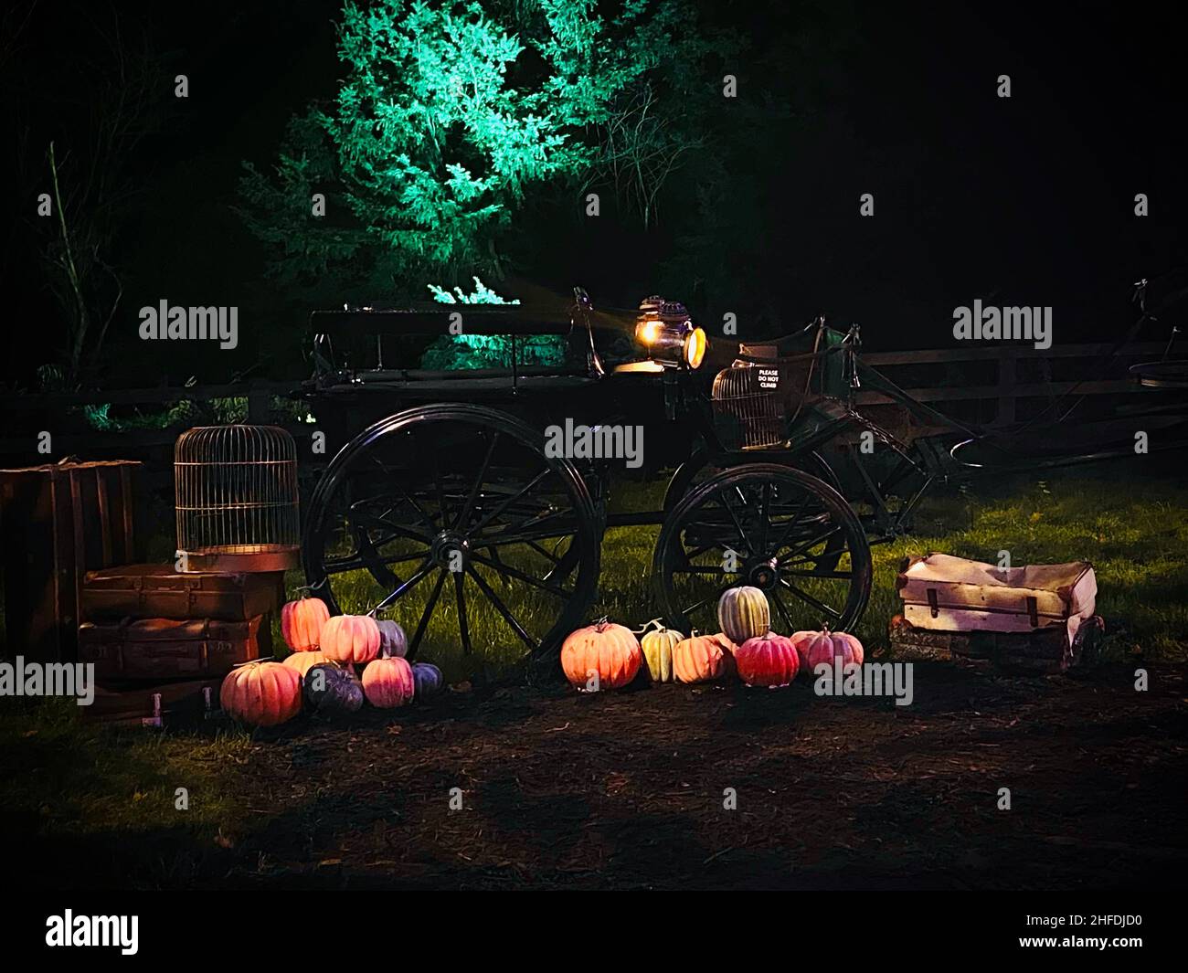 Harry Potter Forbidden Forrest Experience Stock Photo - Alamy