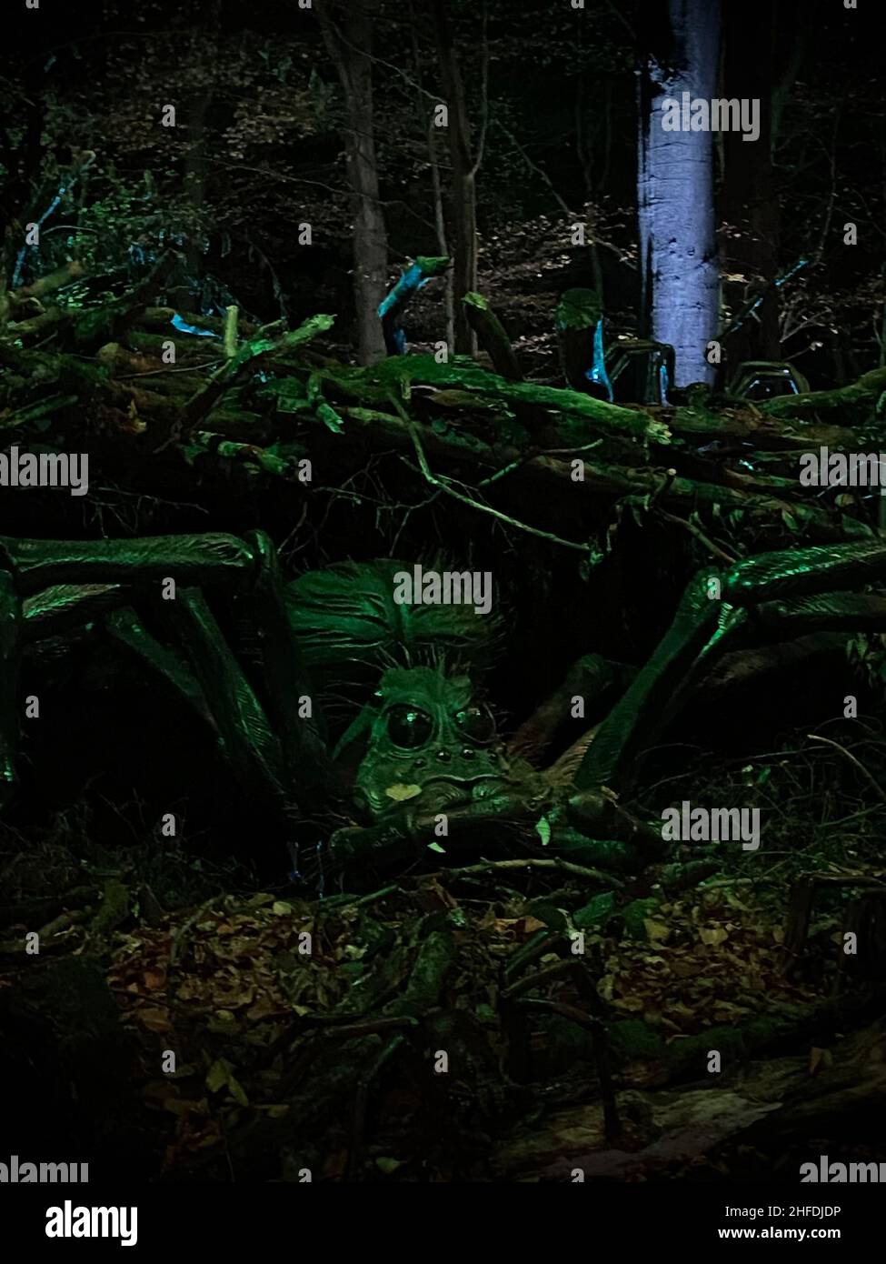 Harry Potter Forbidden Forrest Experience Stock Photo - Alamy