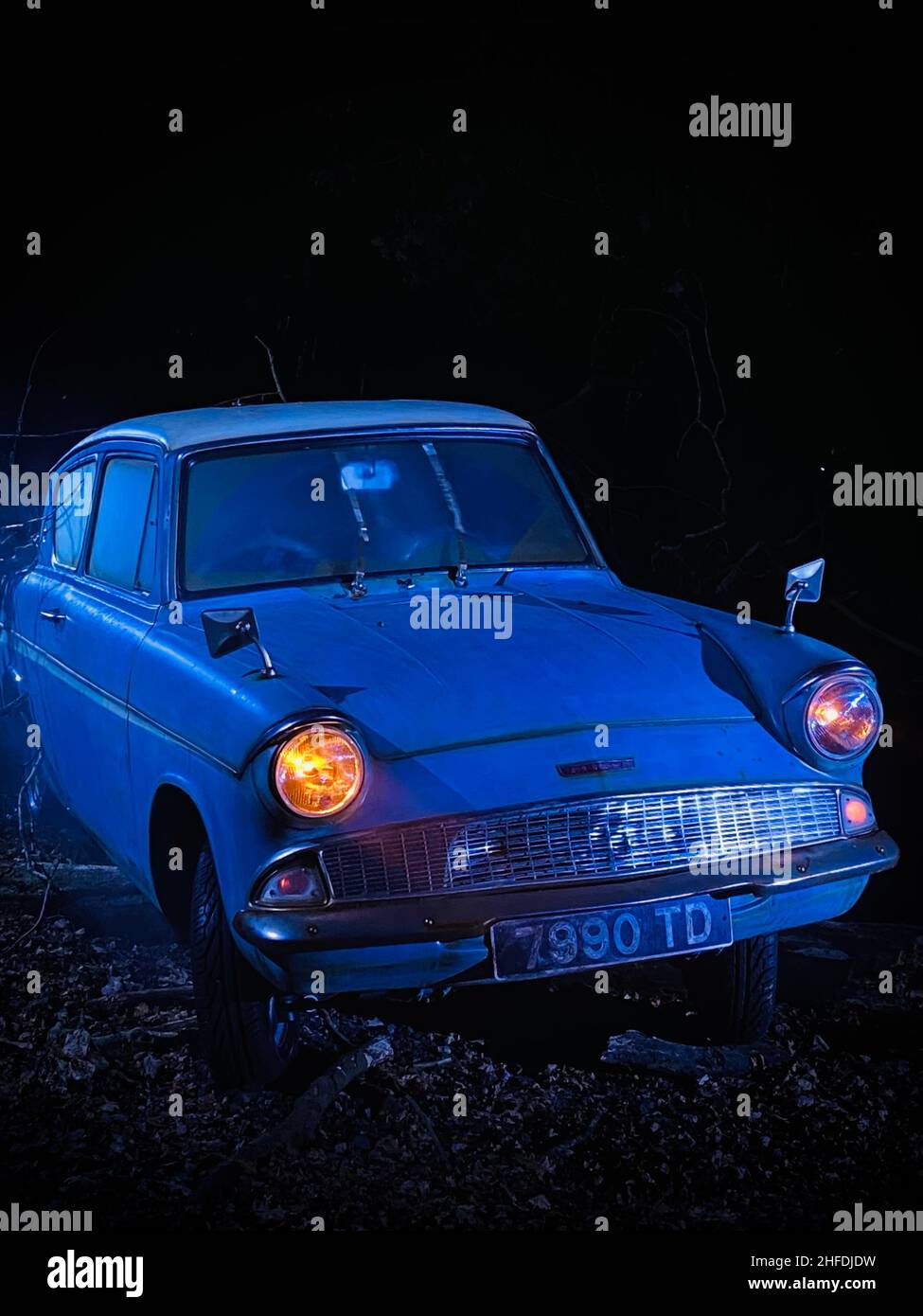 Harry Potter Forbidden Forrest Experience Stock Photo - Alamy
